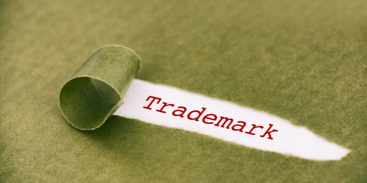 A guide to logo trademark registration; know all the steps